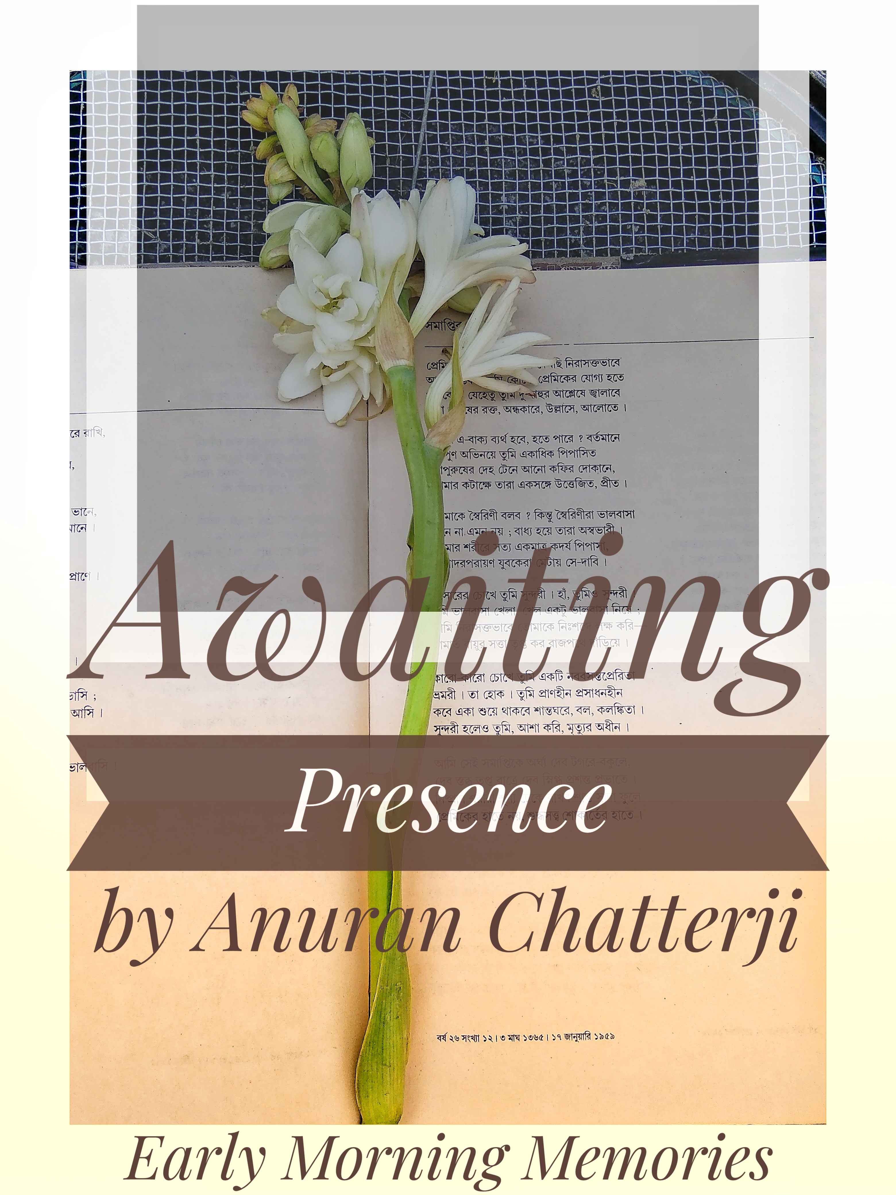 Awaiting Presence – Early Morning Memories