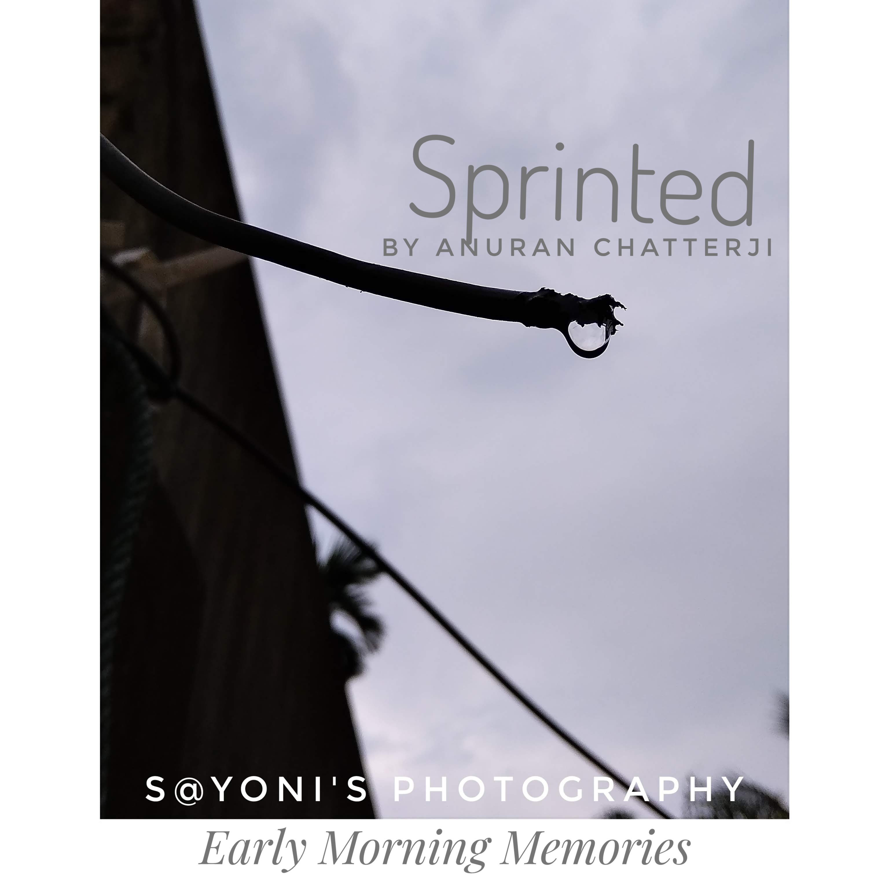 Early Morning Memories