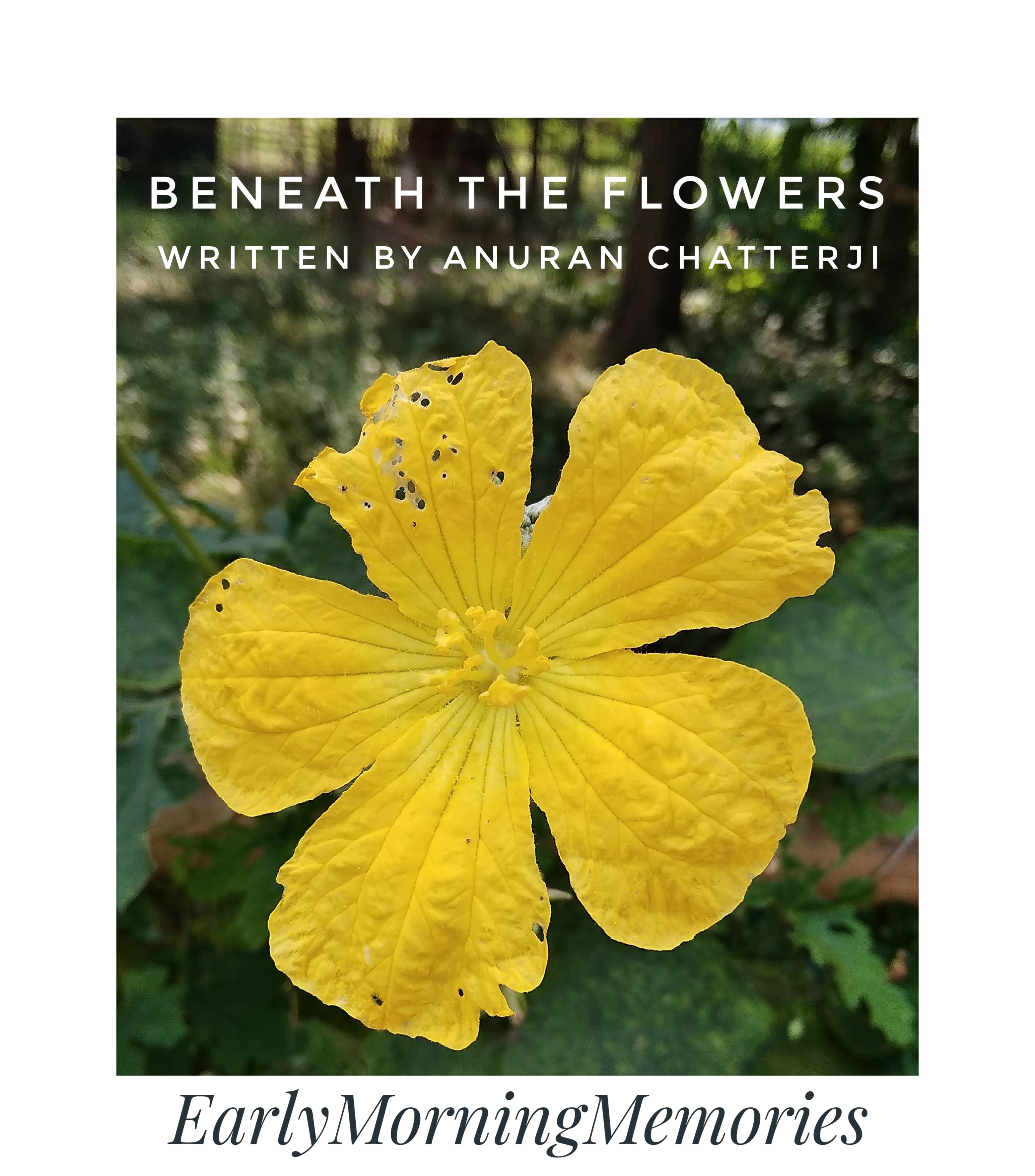 Beneath the Flowers – Early Morning Memories