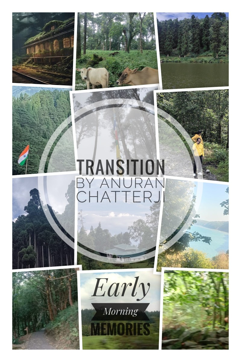 Transition – Early Morning Memories