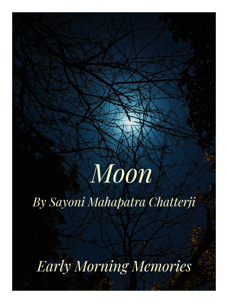 🌝 Moon – Early Morning Memories