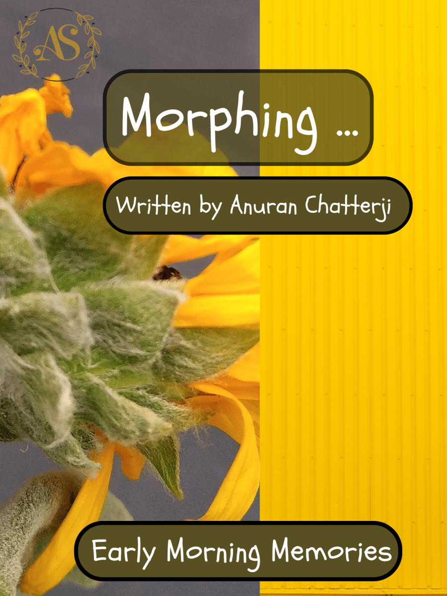 Morphing – Early Morning Memories
